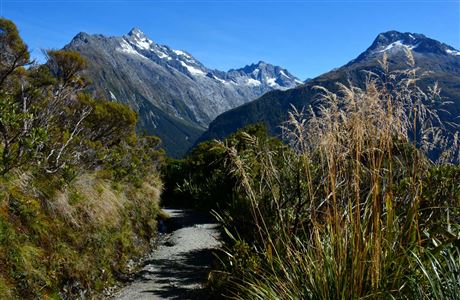 Routeburn Track: Key Summit Track: Fiordland National Park, Fiordland ...